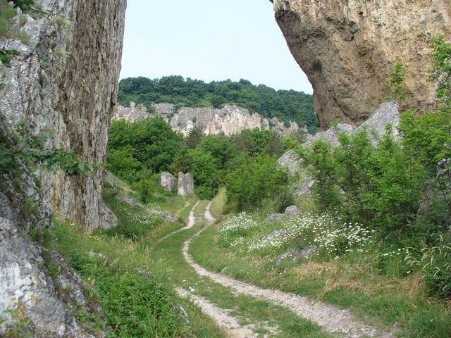 Каньонът на река Чернелка